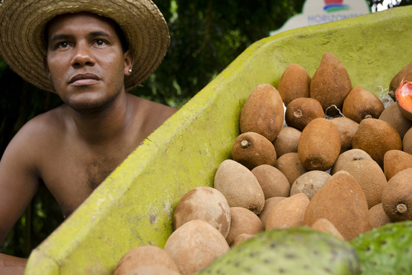 Cuba, through the lens - Northeastern Global News