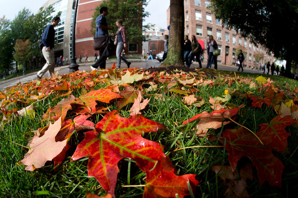 Feeling like fall - Northeastern Global News