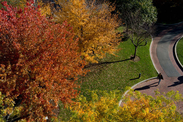 Campus in the Fall - Northeastern Global News