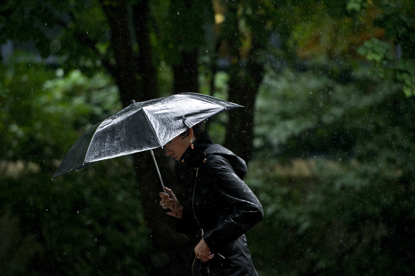 Rain rain go away - Northeastern Global News