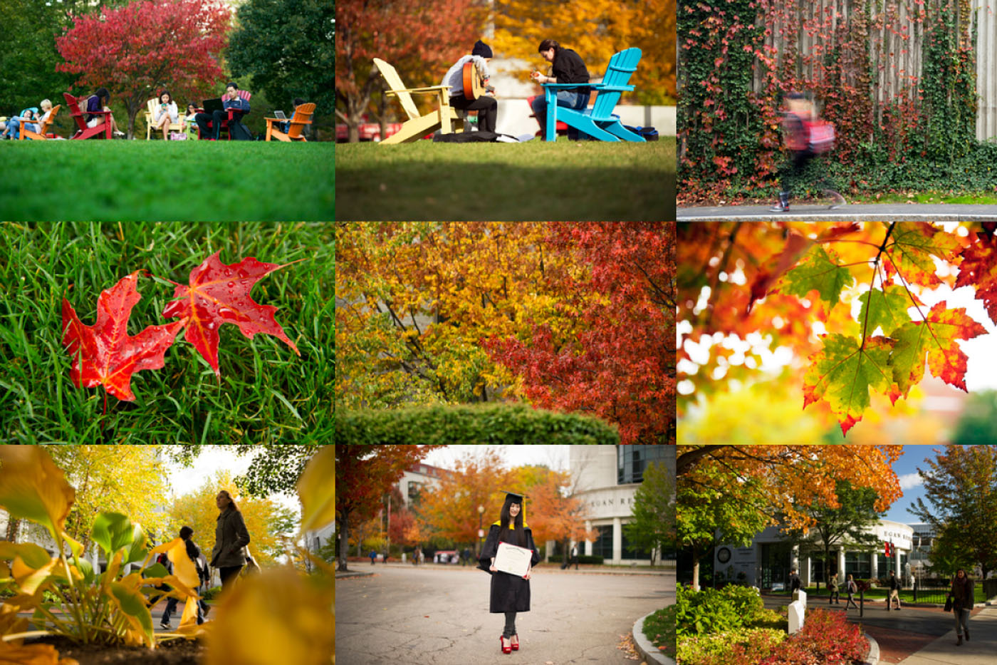 Campus in the Fall 2014 - Northeastern Global News