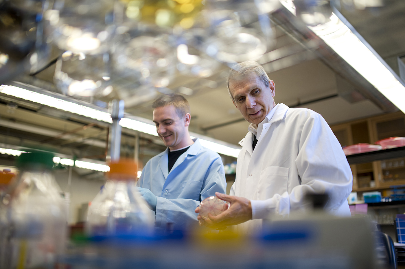 Groundbreaking Northeastern research sweeps the globe - Northeastern ...