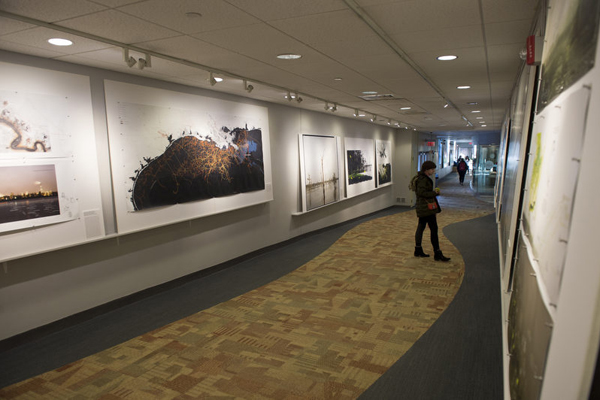 Jane Amidon - Northeastern Global News