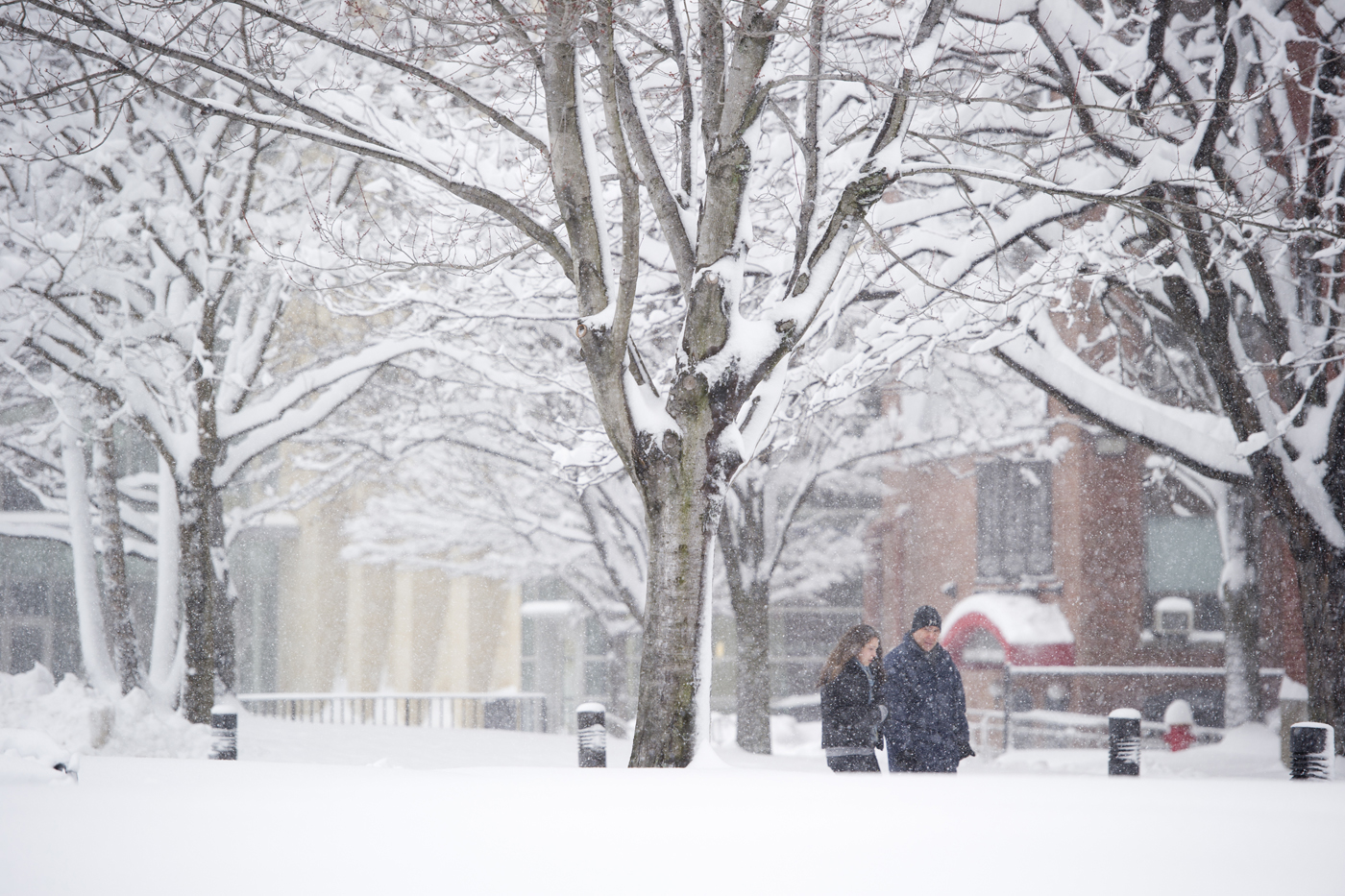 Campus and region weathering 'historic' storm - Northeastern Global News