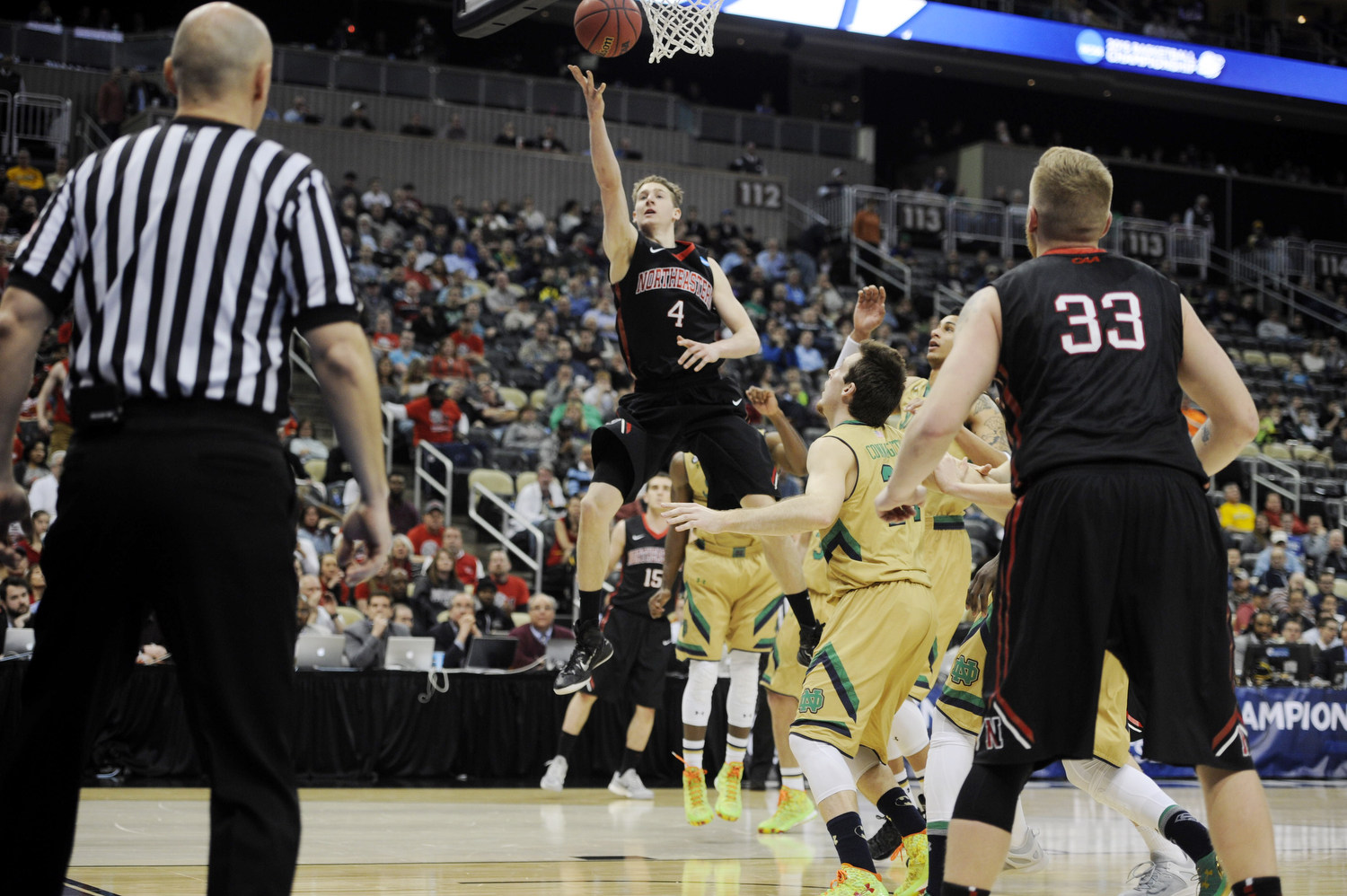 Huskies make Northeastern proud - Northeastern Global News