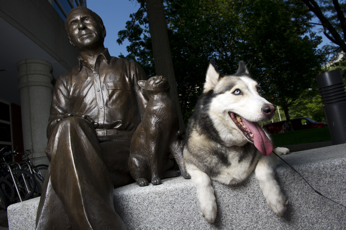 Dog Days of Northeastern - Northeastern Global News