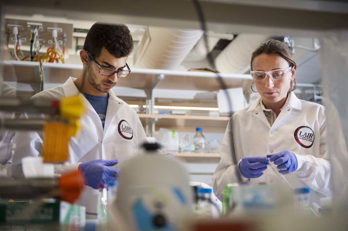 Northeastern achieves highest classification for research activity ...