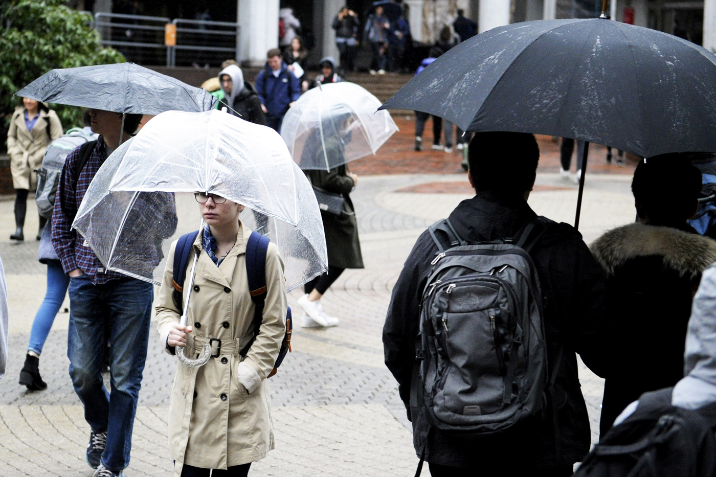 Come on with the rain - Northeastern Global News