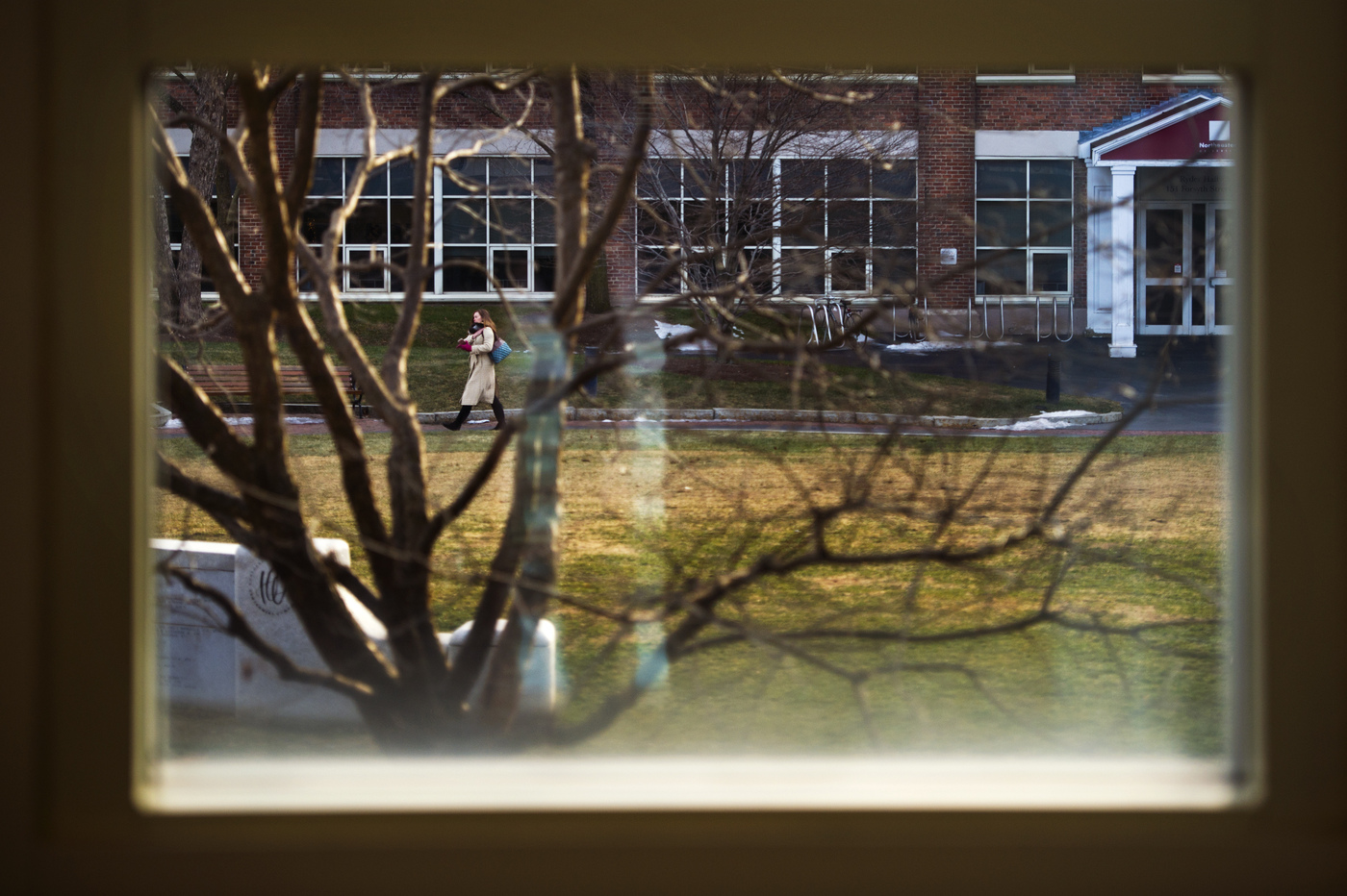 Window of opportunity - Northeastern Global News