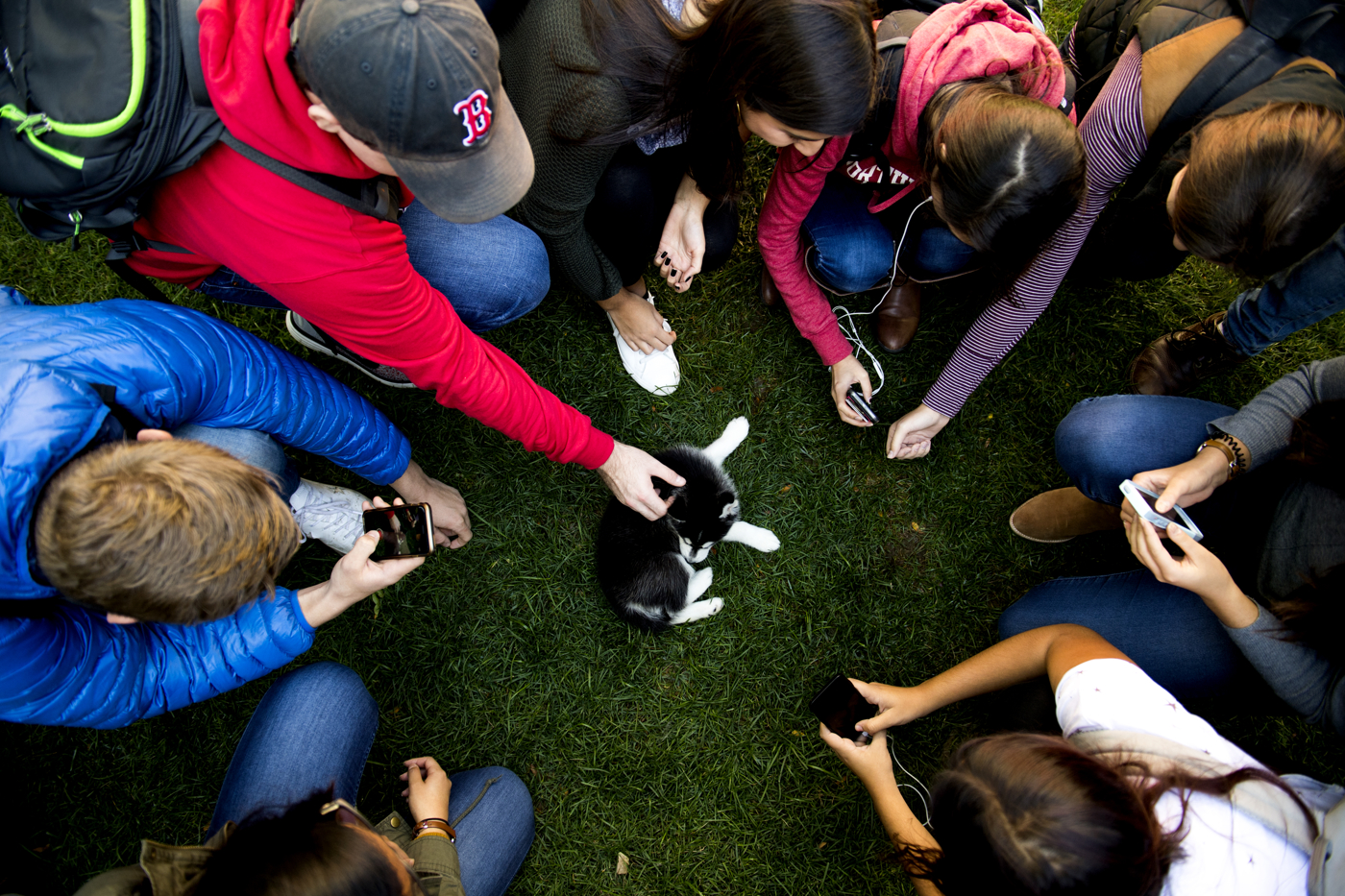 Meet the alumna who raises Northeastern’s King Husky mascot