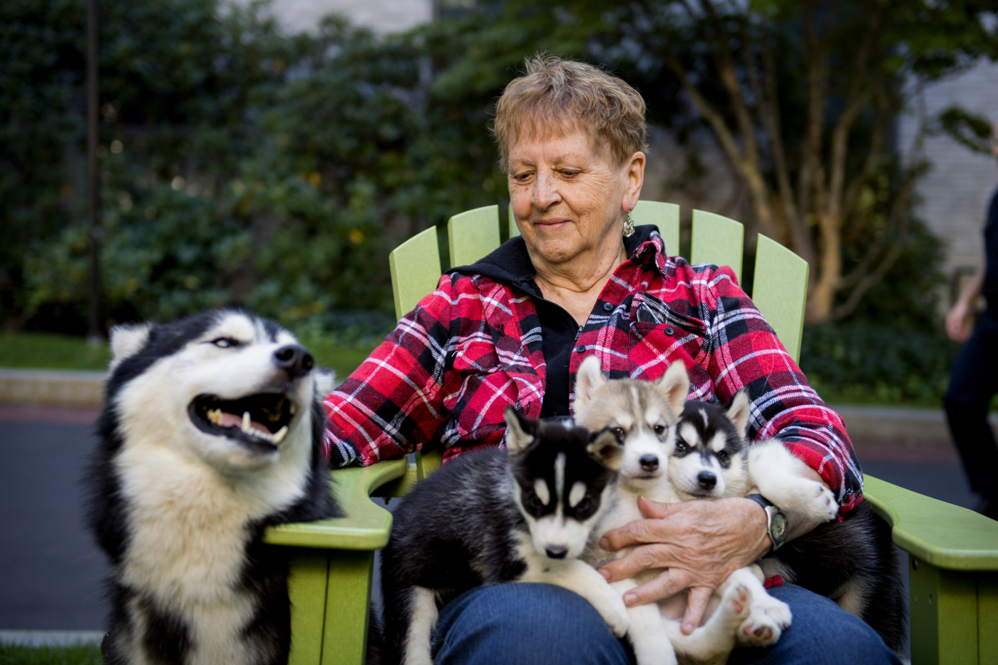 Meet the alumna who raises Northeastern’s King Husky mascot