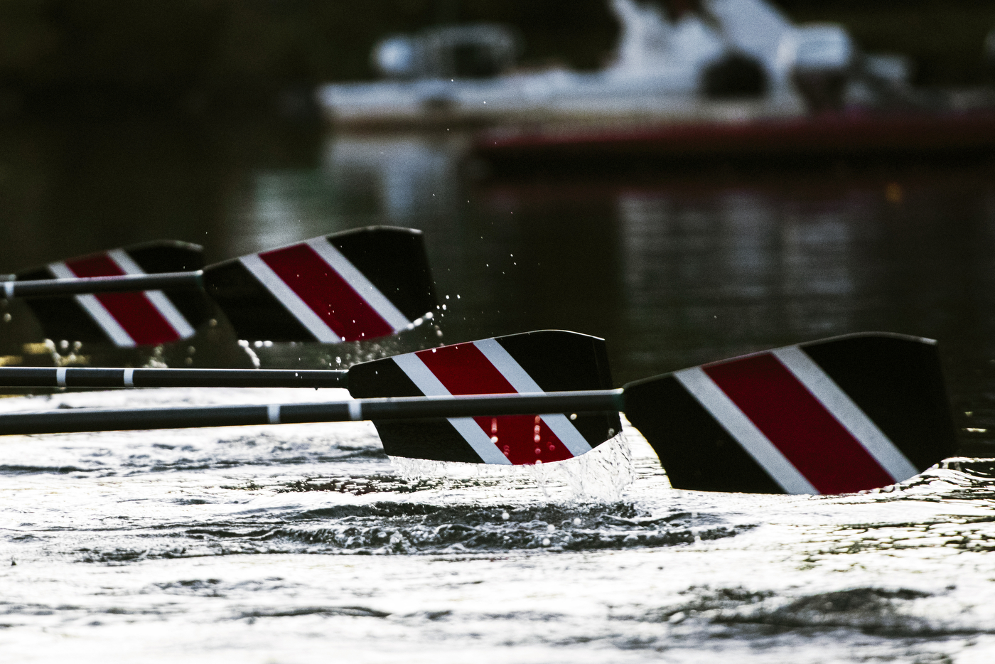 How has the sport of rowing evolved in the past 50 years ...