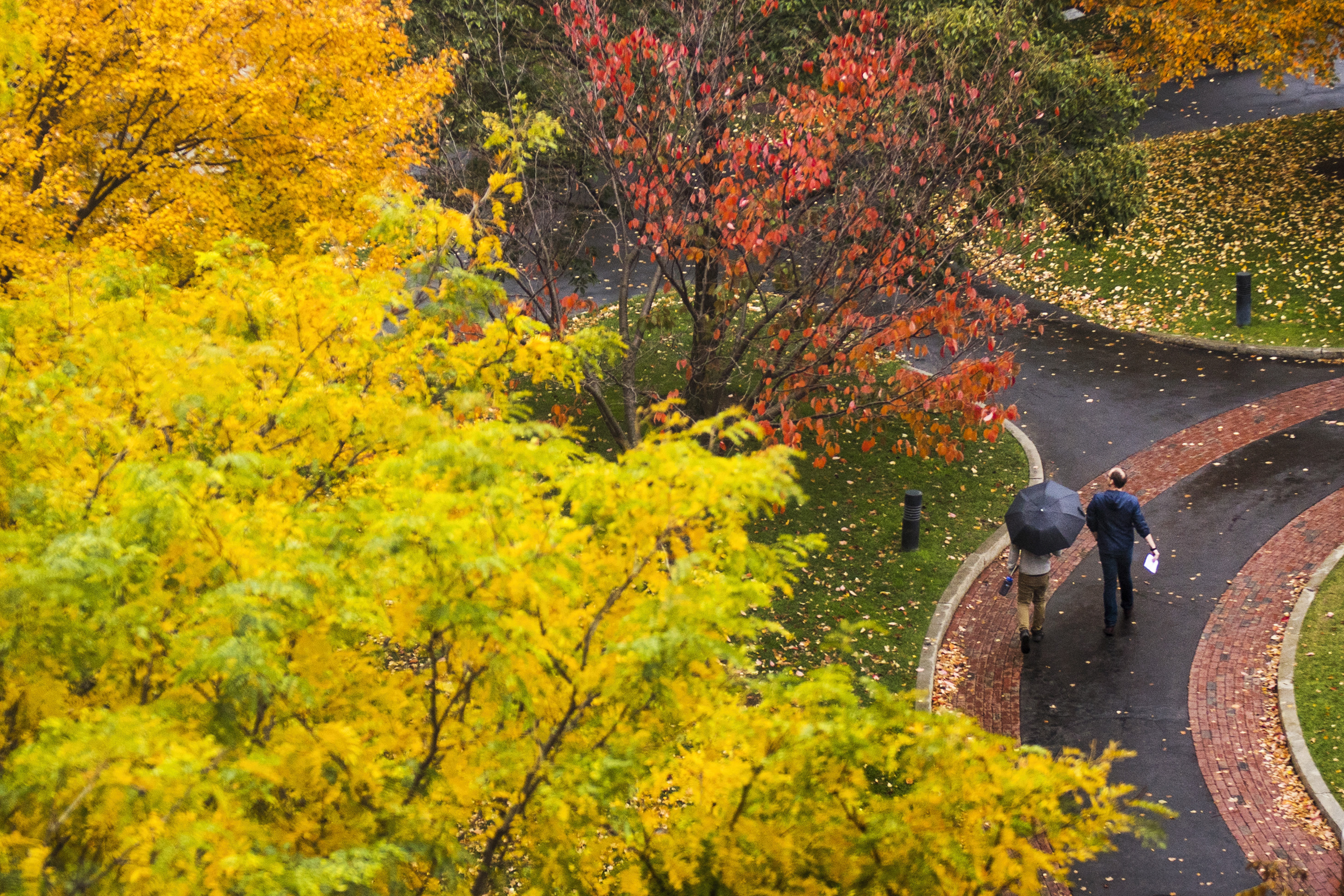 November in Photos - Northeastern Global News