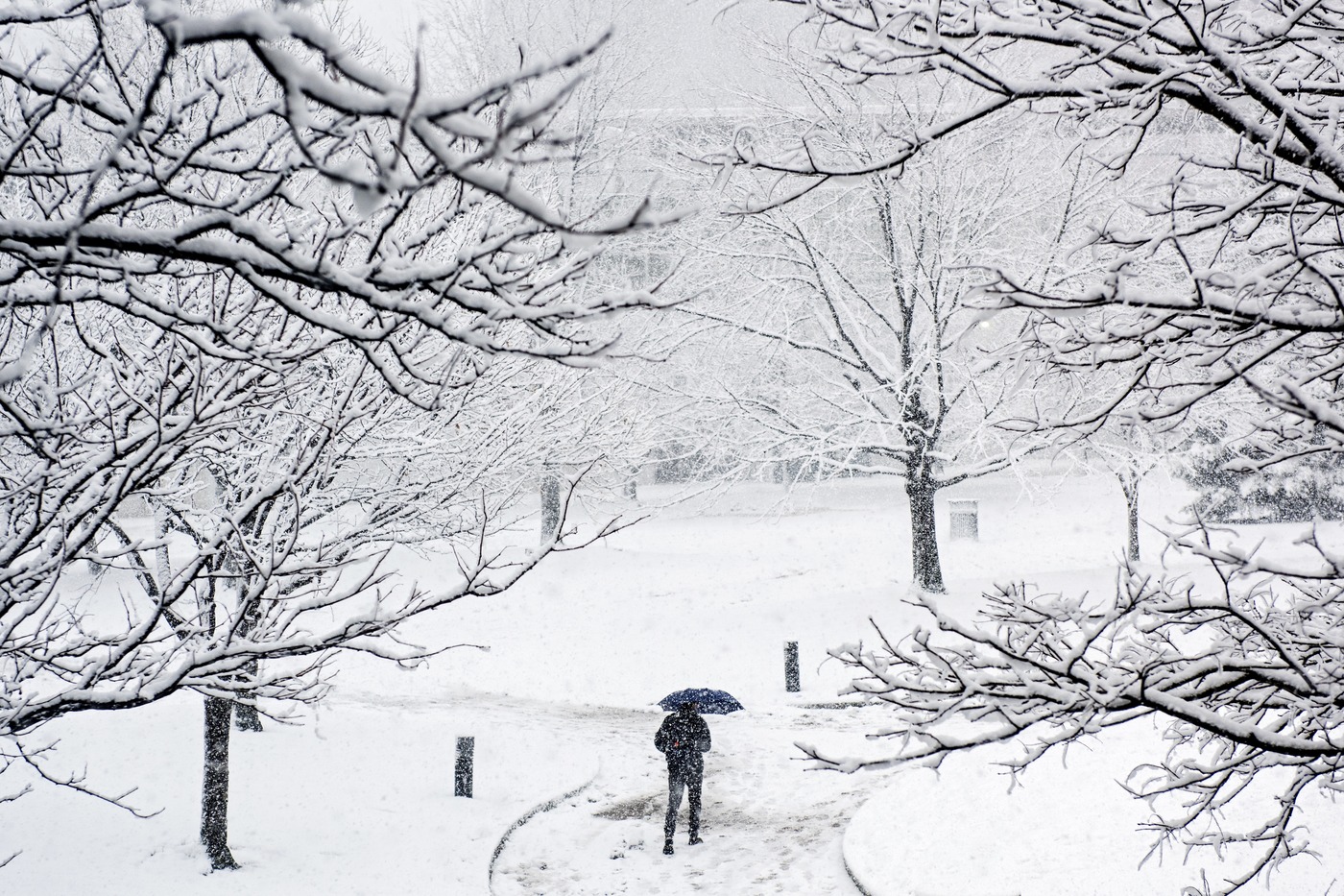 Northeastern cancels classes at Massachusetts campuses, closes ...