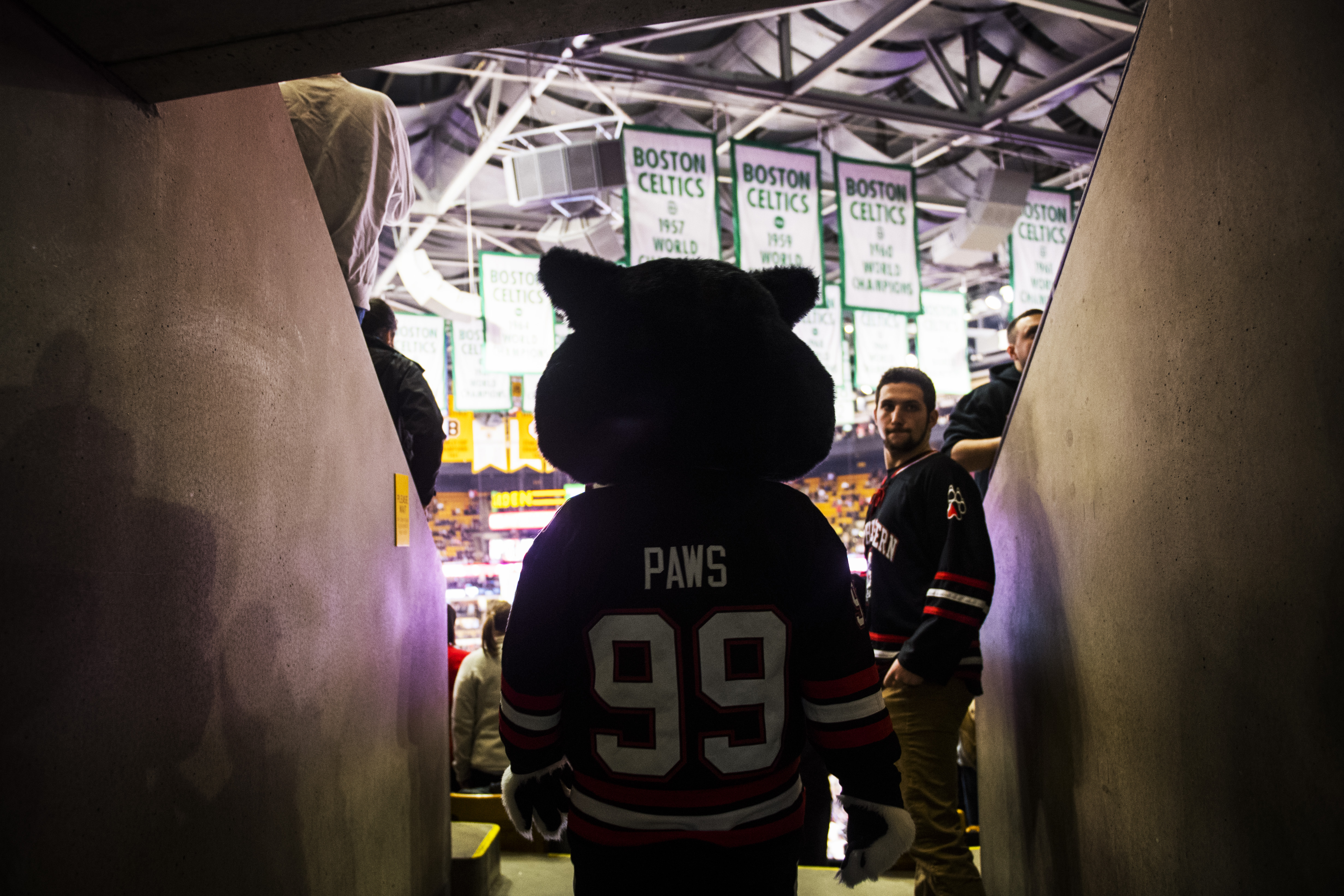 Don't Paws the party - Northeastern Global News