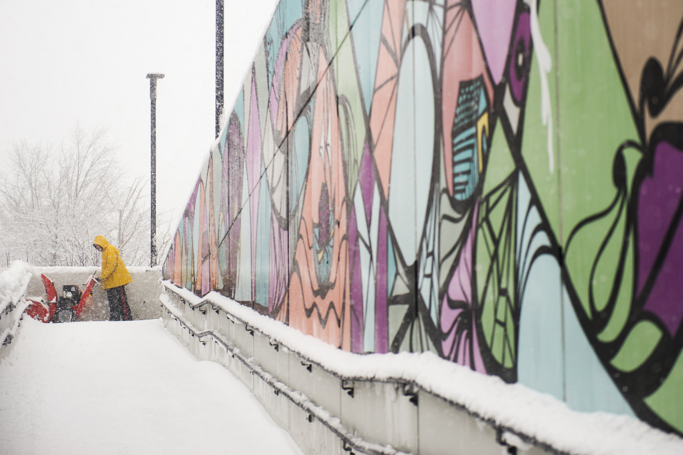 Snow team works through storm to get campus ready - Northeastern Global ...