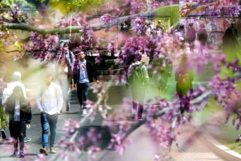 Campus is a canvas - News @ Northeastern