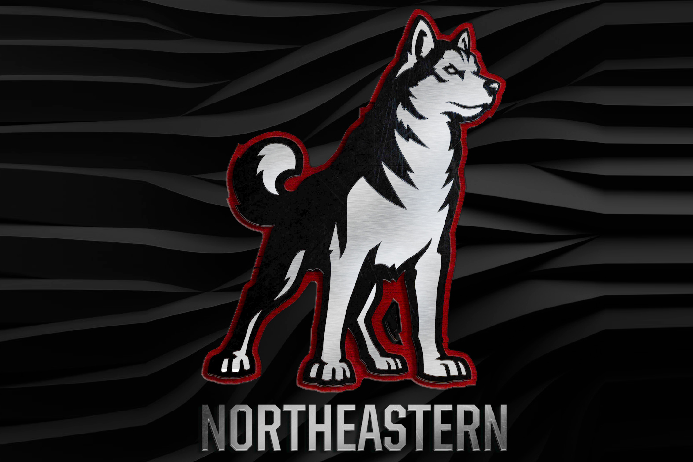 Northeastern unveils new athletics logos - Northeastern Global News
