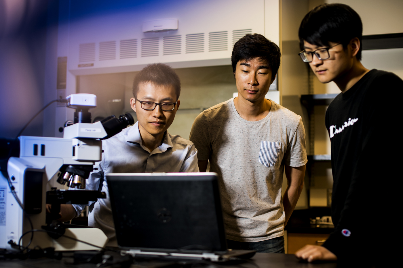 Poking Holes in Neuroscience to Shed Light on the Details of the Brain