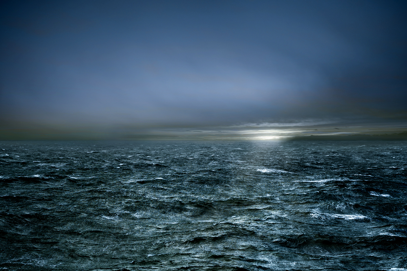 The world's oceans are in peril. This Northeastern graduate wants ...