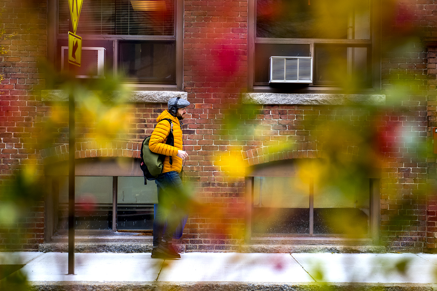 Blending in - Northeastern Global News