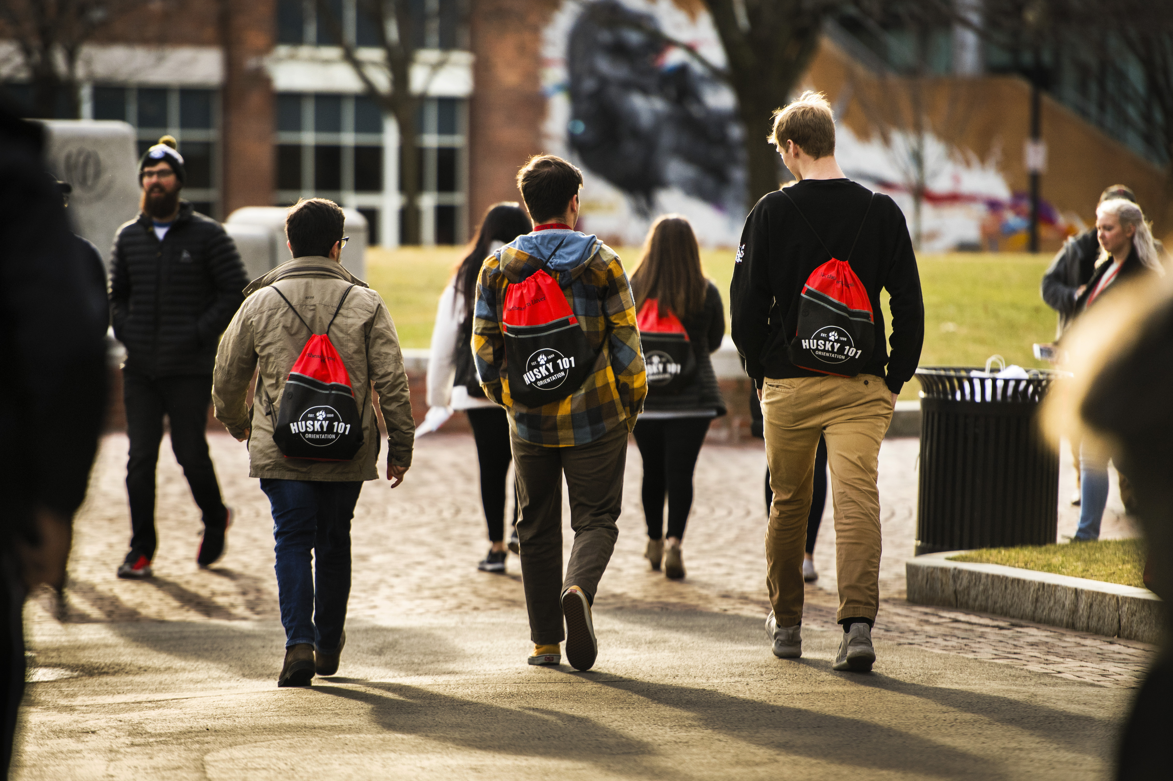 Husky 101? More like Husky ton o' fun - Northeastern Global News