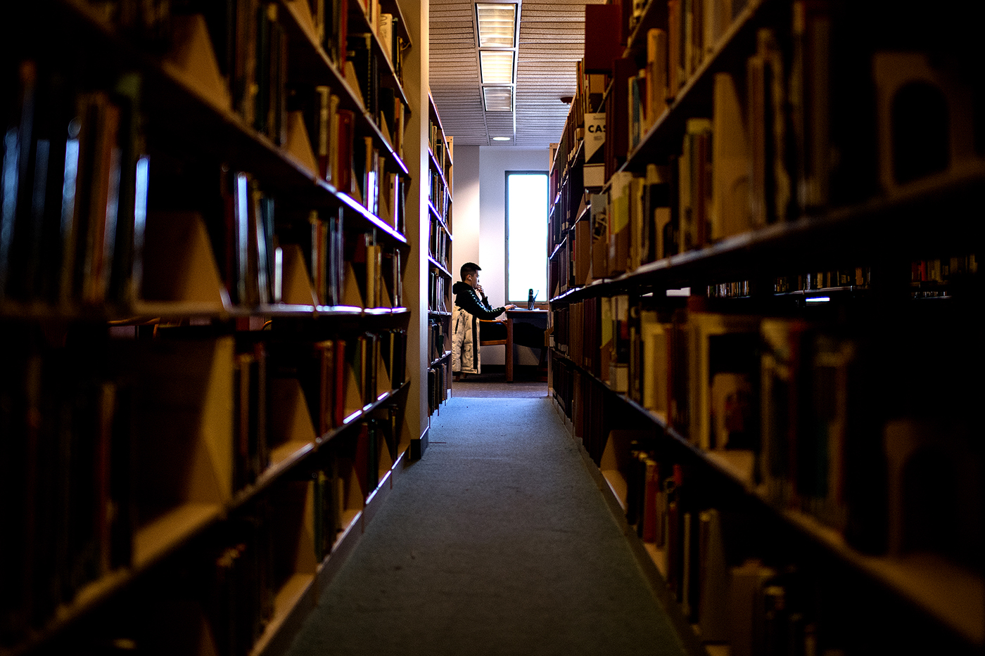 Between the stacks - Northeastern Global News