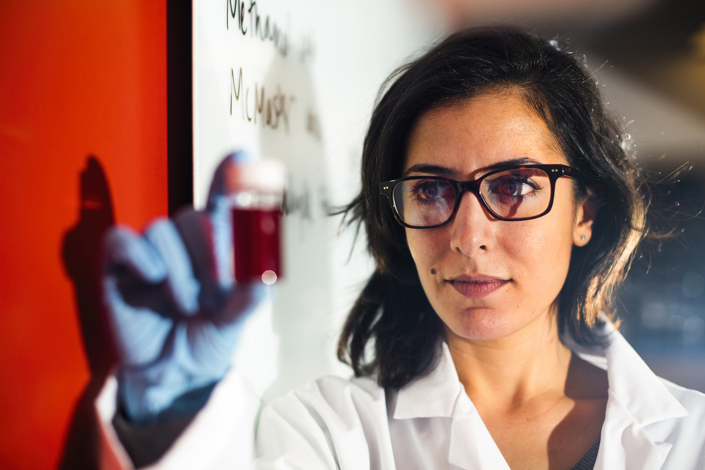 The Secret Behind a Squid's Ability to Change Colors