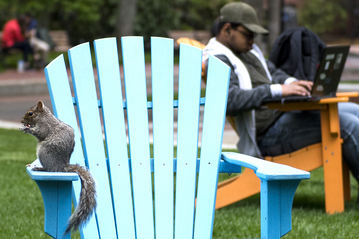 Chair-ity lunch - Northeastern Global News