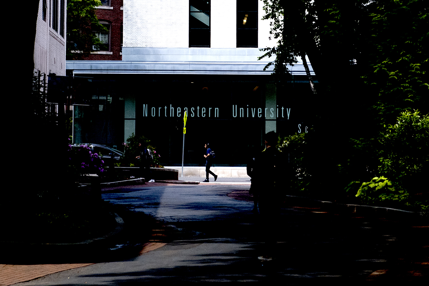 Made in the shade - Northeastern Global News