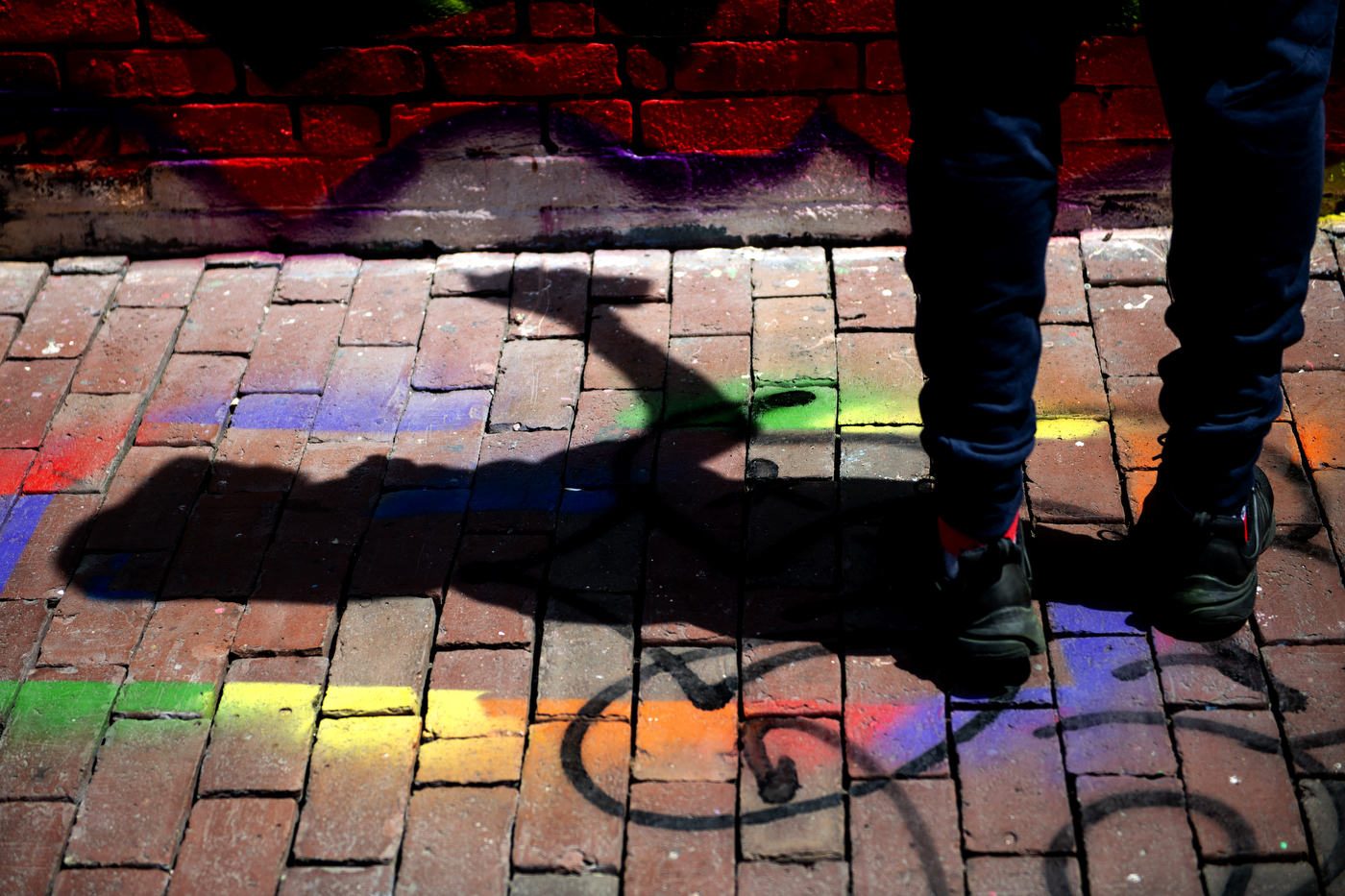 Northeastern University graduate Olivia Huang receives grant from the ...