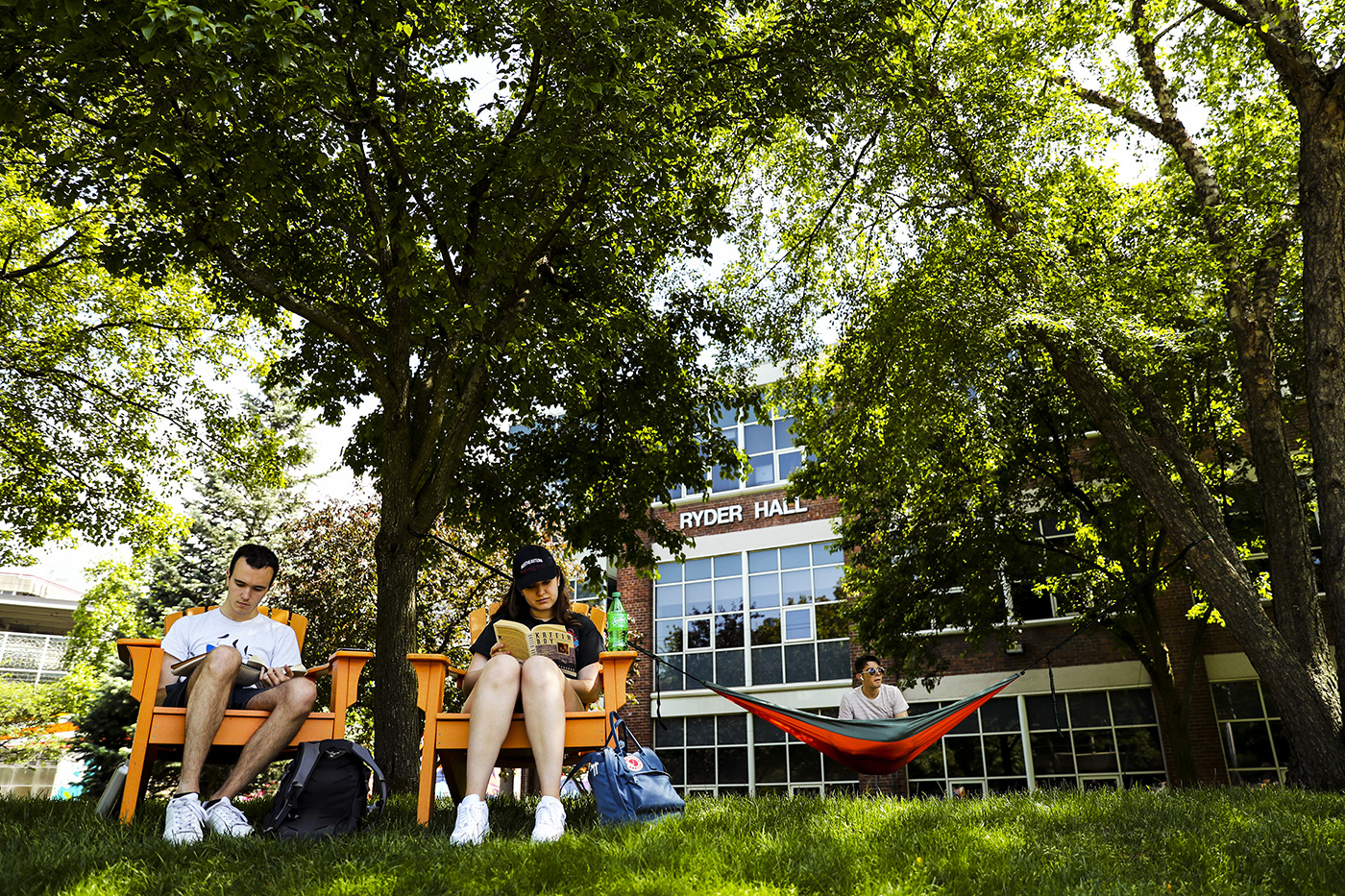 A treescape on the Common - Northeastern Global News