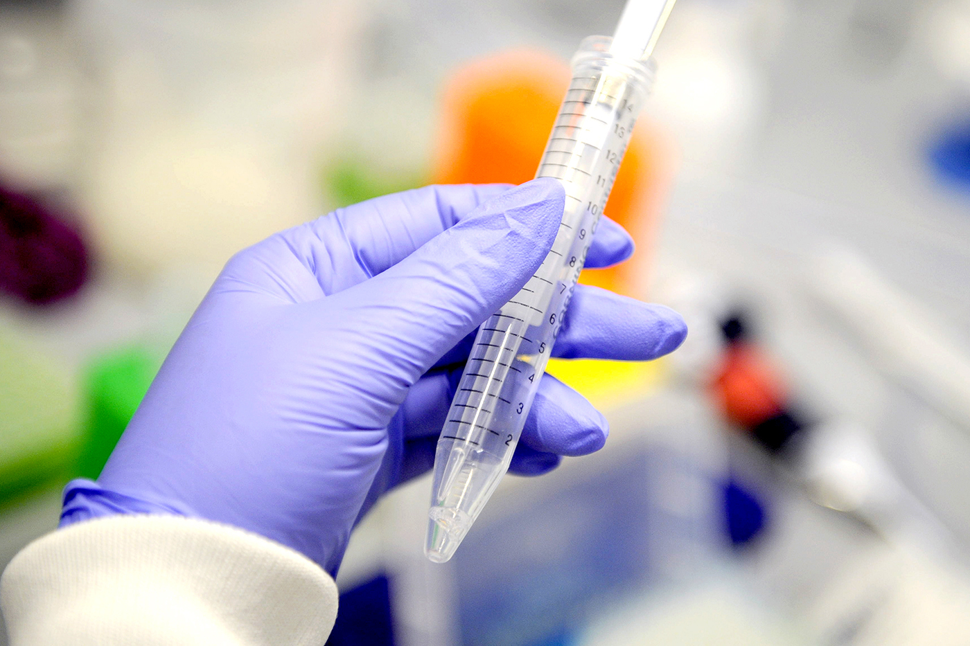 Northeastern University graduate traded in her mic and pen for a ...