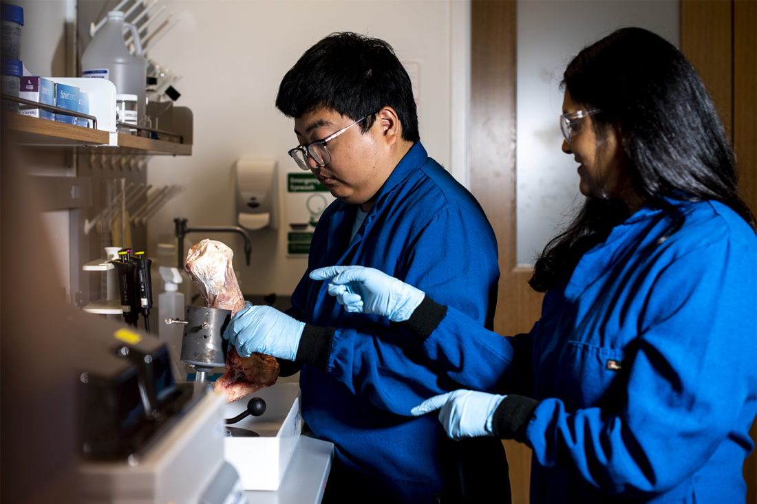 Bajpayee Awarded NIH Trailblazer R21 Grant - Department of Bioengineering