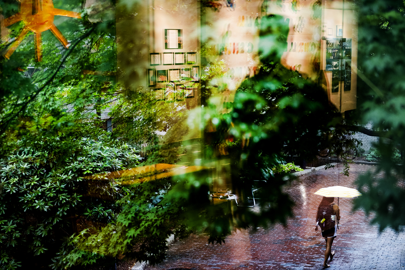 How to cool off in the rain - Northeastern Global News