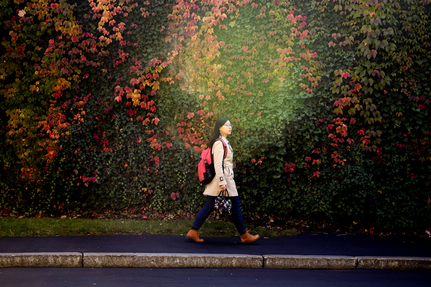 Wall of fall - Northeastern Global News