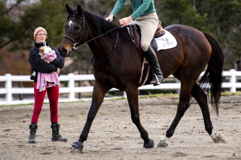 Saddle up and ride with the Northeastern University Equestrian Team ...