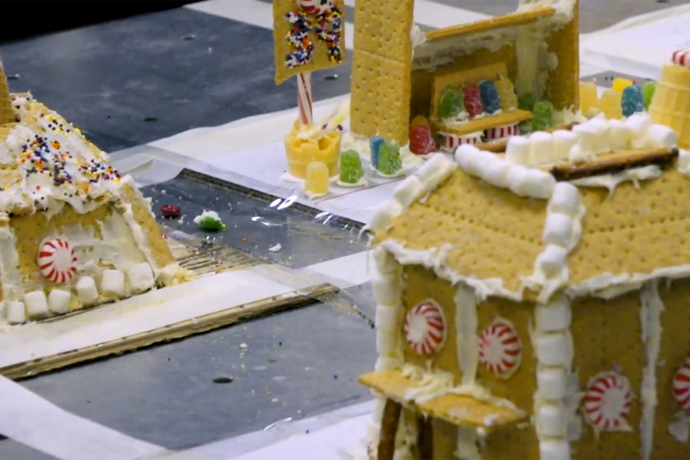 Gingerbread Shakedown - Northeastern Global News