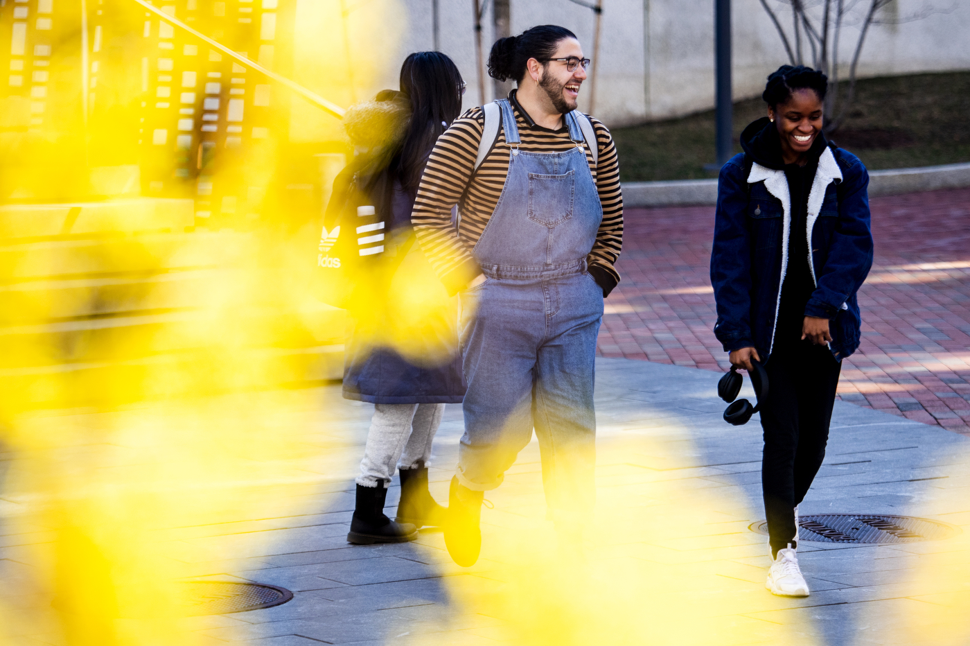 Spring sunshine - Northeastern Global News