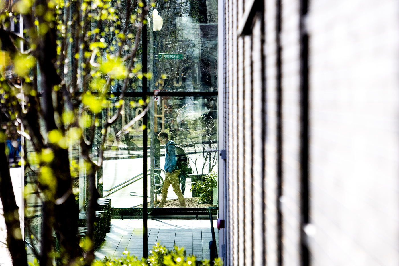 Did winter just happen? - Northeastern Global News