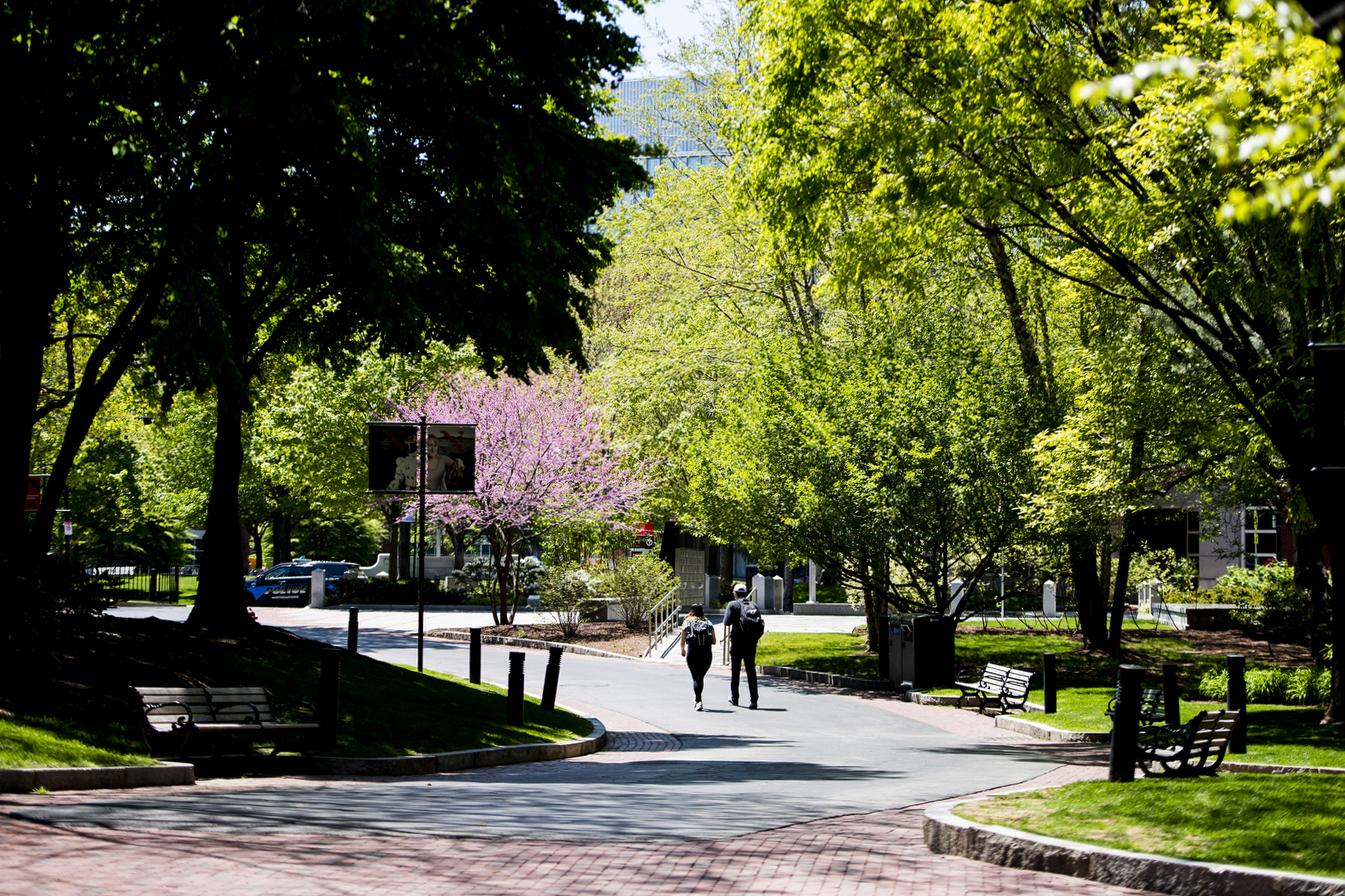 Spring stroll - Northeastern Global News