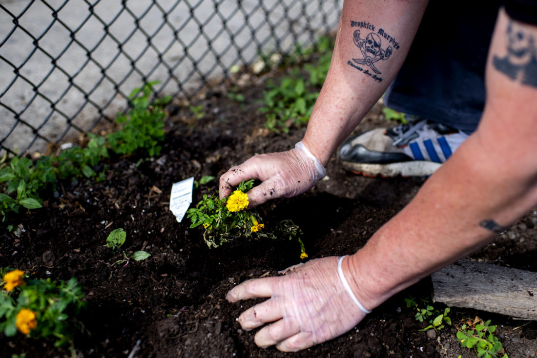 The neighborhood kids were hungry. He planted a garden. - News ...