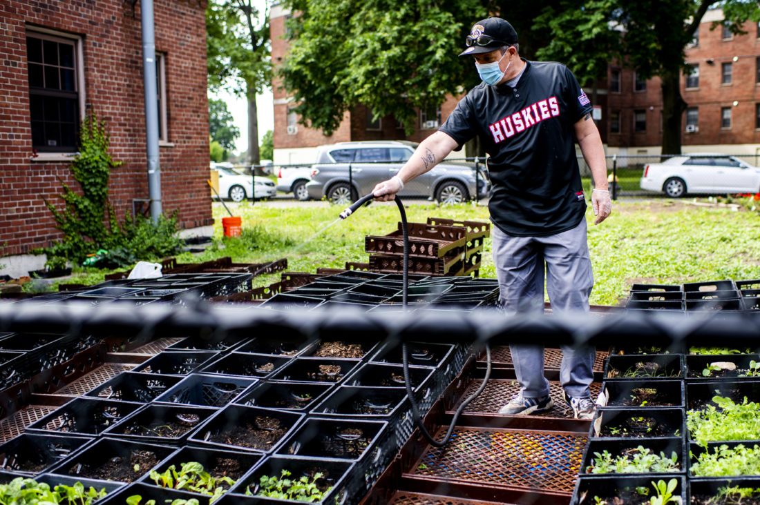 June 2020 in Photos - News @ Northeastern