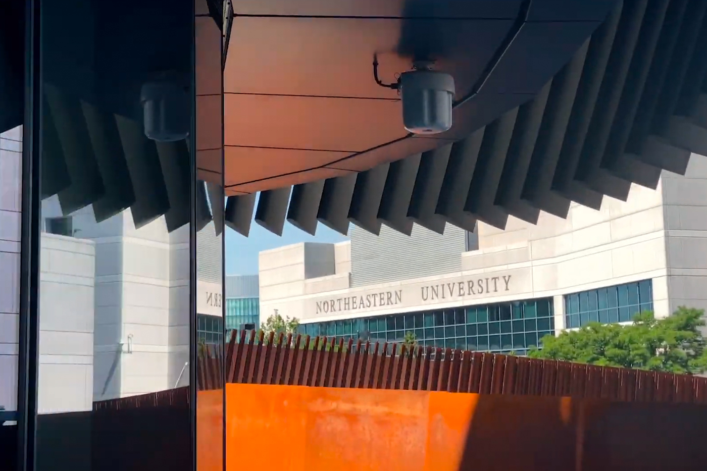 Take in the sights of summer at Northeastern - Northeastern Global News