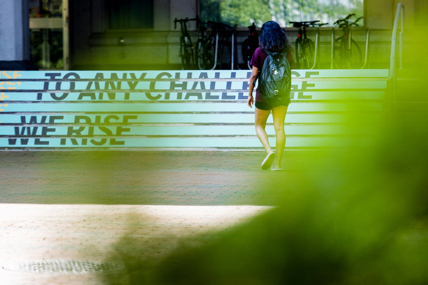 We Rise - Northeastern Global News