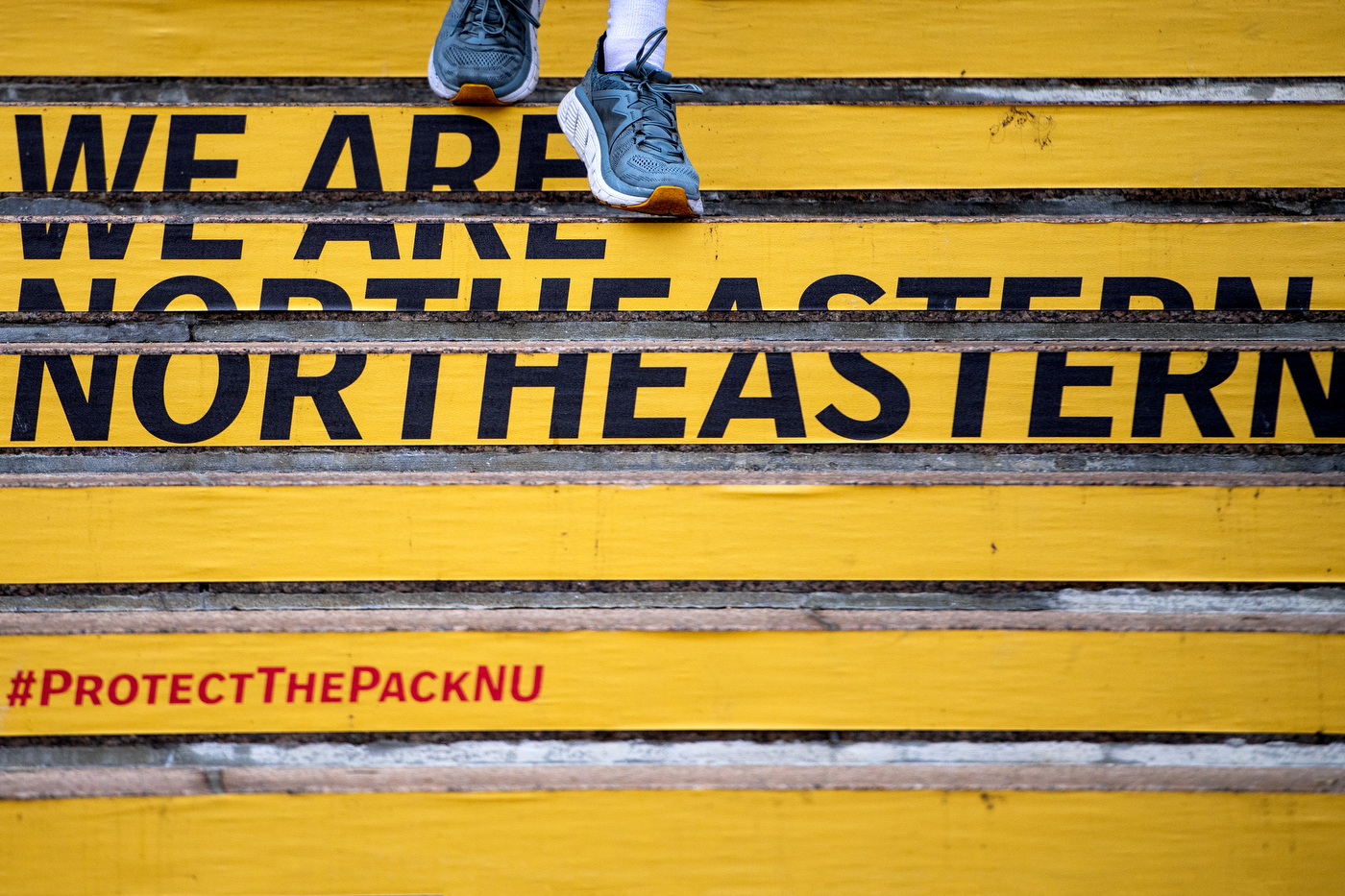 We are Northeastern - Northeastern Global News