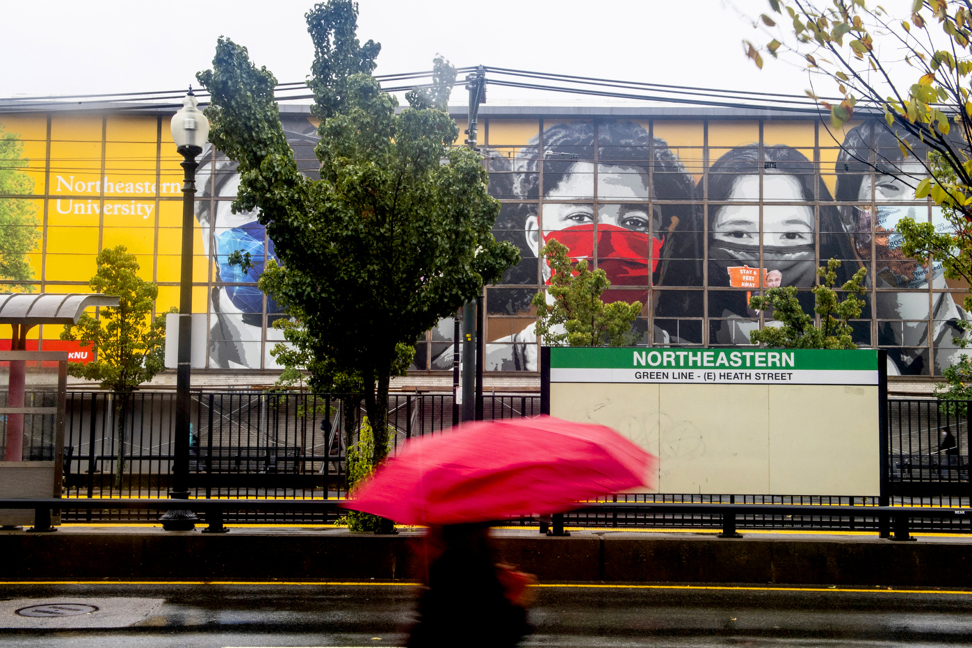 A Colorful Mural to Protect the Pack - Northeastern Global News