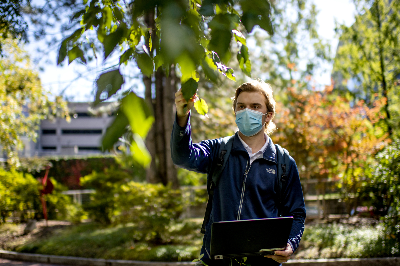 At School, At Work, and At Home Among the Trees