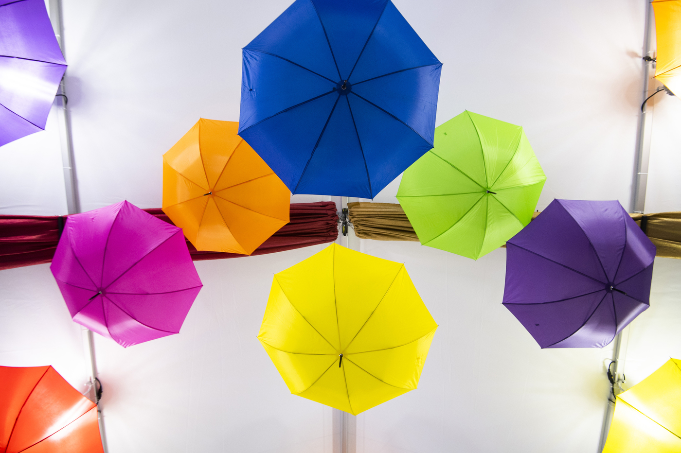 Northeastern transforms outdoor dining tents with a little help from ...