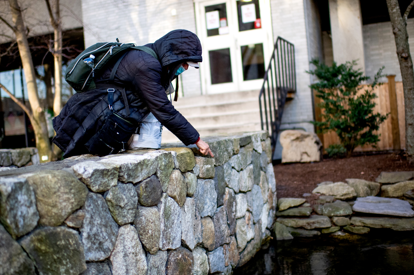 Don't worry about the koi fish on campus this winter–they’re just ...